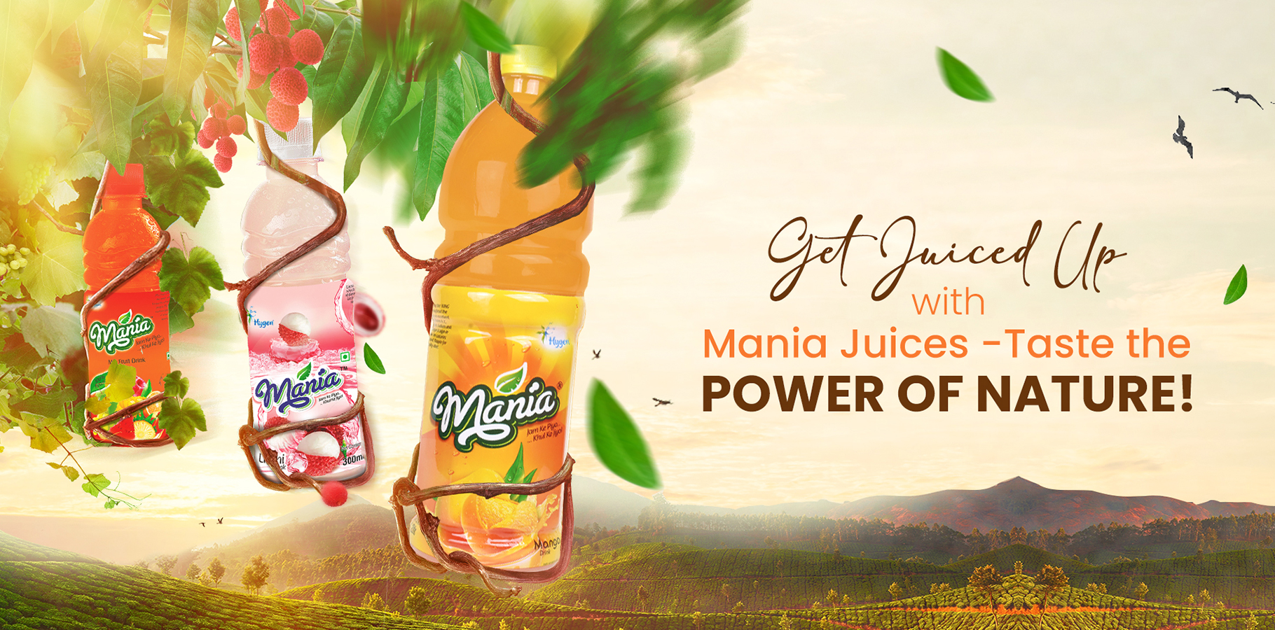 Mania Juices Case Study - The Brand Bee